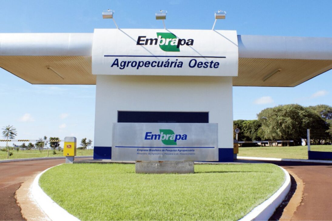 Embrapa Agropecuaria Oeste Destaca Avances en la Preparación del Suelo ...